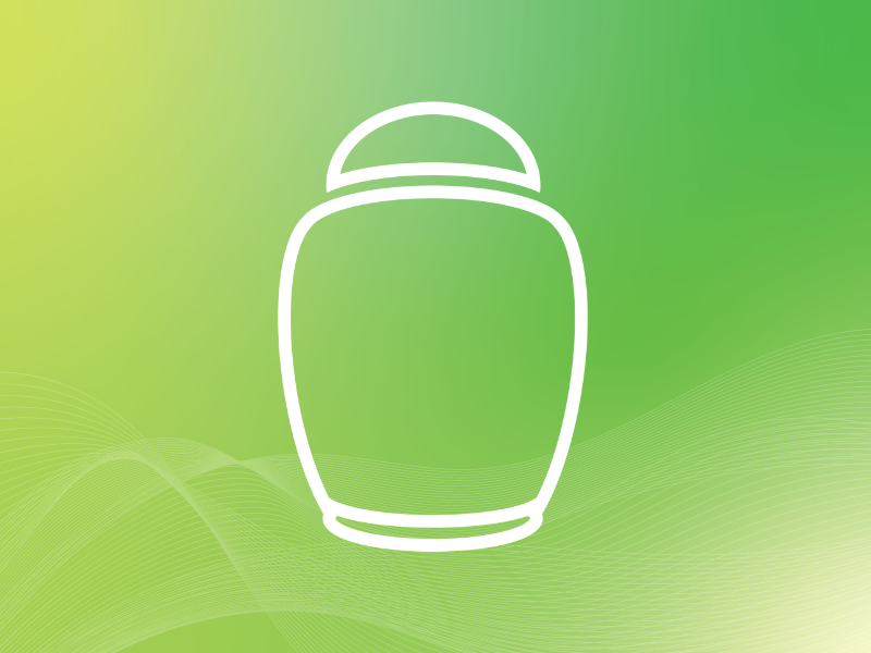 Meet Our Dedicated Team at Tukios